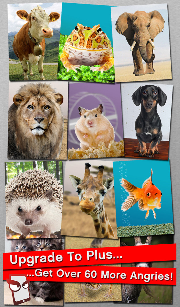 AngrySquirrel Free - The Angry Squirrel Simulator - App on Amazon Appstore