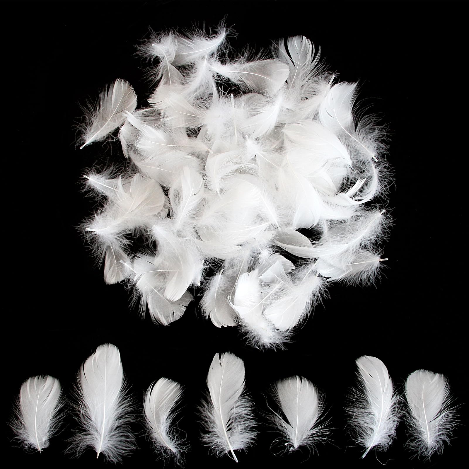 Amazon.com: Lamar Feather 300Pcs White Feathers 2-3 Inches Bulk ...