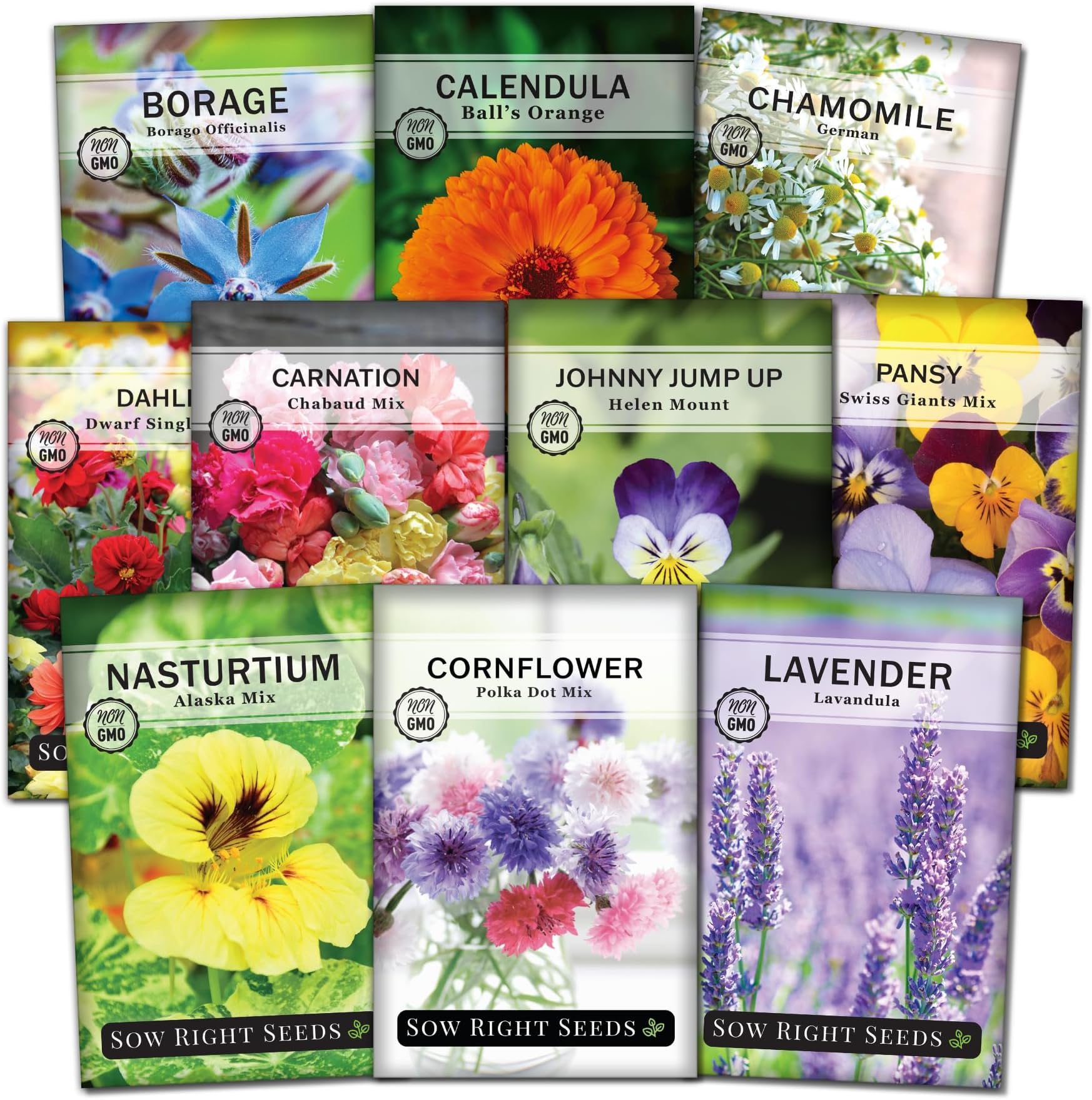 Amazon.com : Gourmet Flower Kit - 6 Edible Flower Varieties to Grow ...