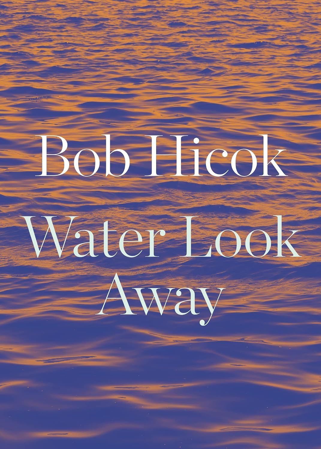 Water Look Away: Hicok, Bob: 9781556596506: Books - Amazon.ca