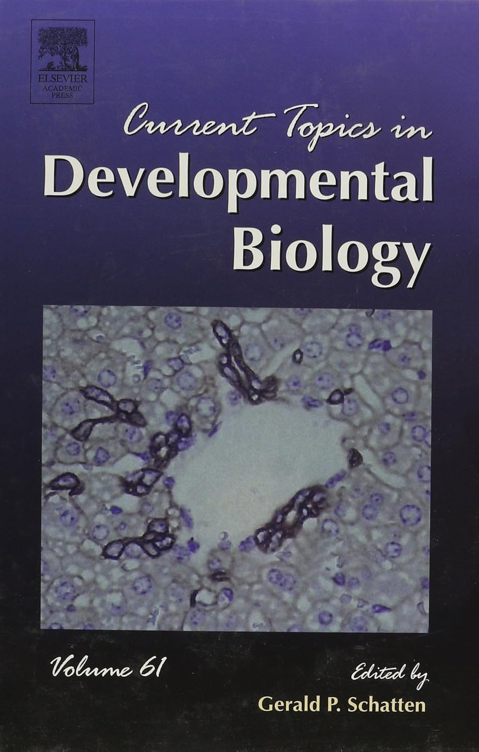 Current Topics in Developmental Biology (Volume 61): Schatten, Gerald P ...