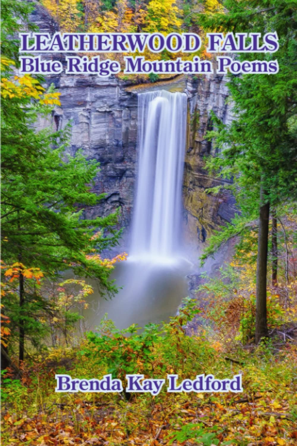 Amazon.com: Leatherwood Falls: Blue Ridge Mountain Poems: 9781639802609 ...