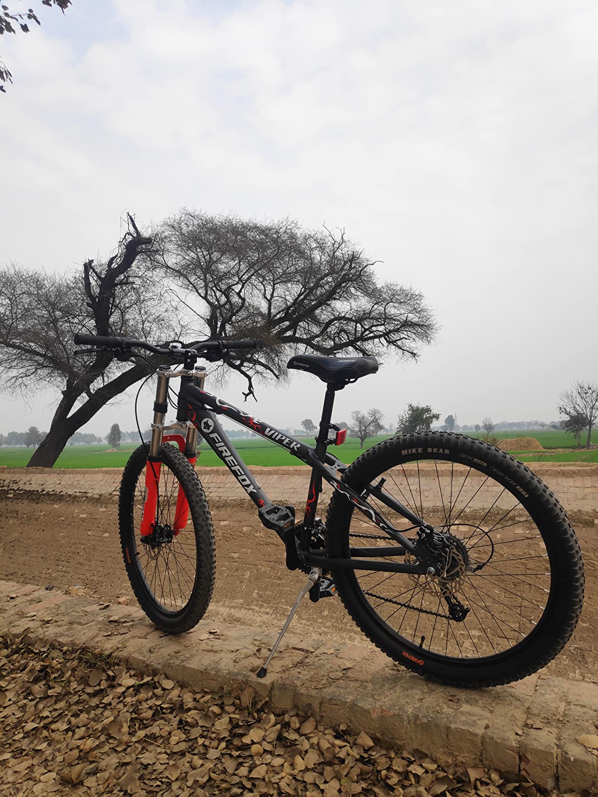 Buy Firefox Bikes Unisex Viper 26T 21 Aluminum-Alloy Speed MTB Mountain ...