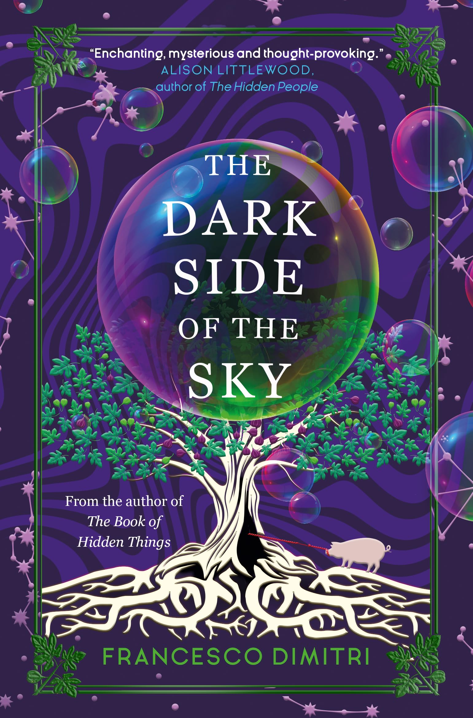 The Dark Side of the Sky : Francesco Dimitri: Amazon.co.uk: Books
