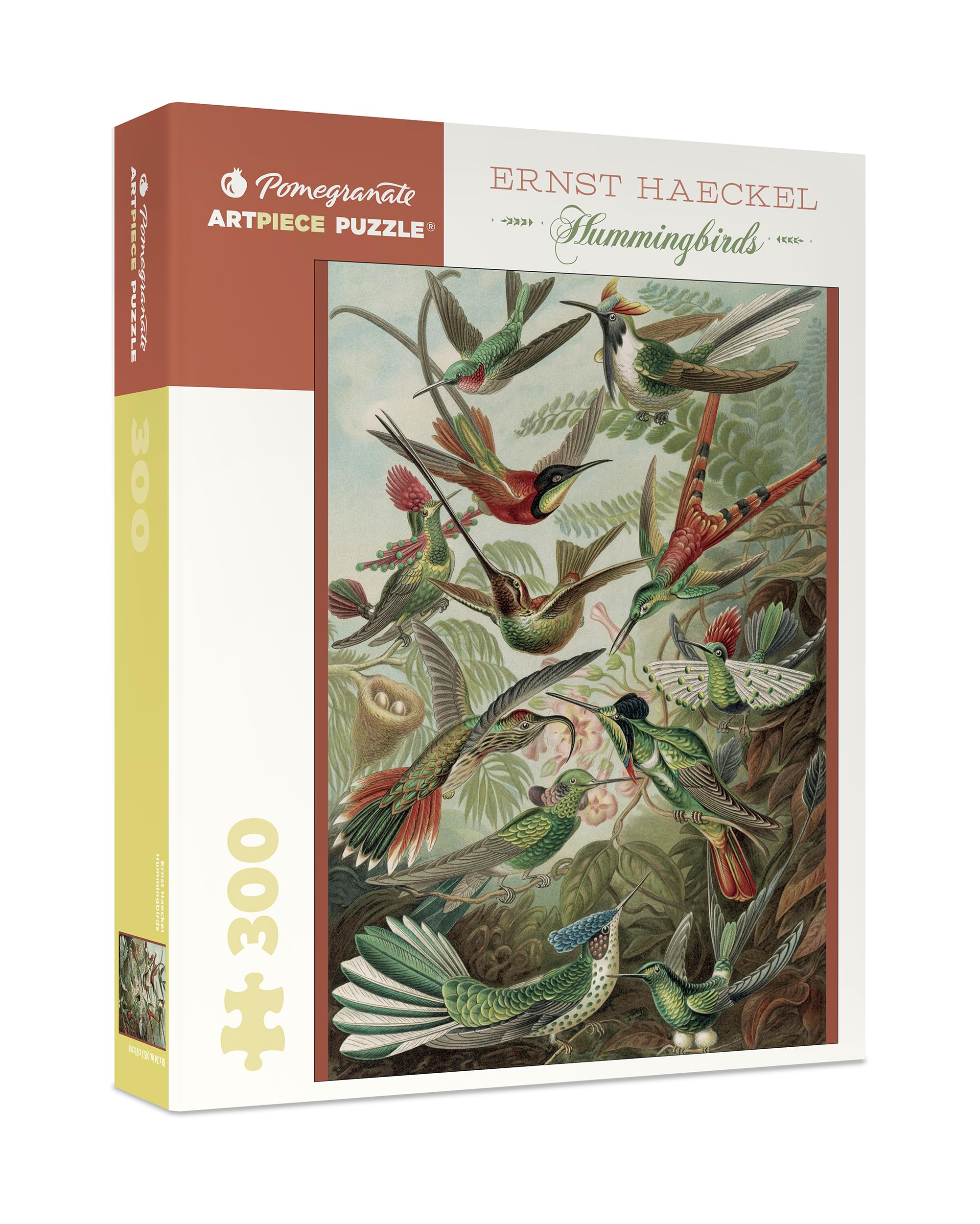 Ernst Haeckel Hummingbirds 300 Piece Jigsaw Puzzle Jk053: Ernst Haeckel ...