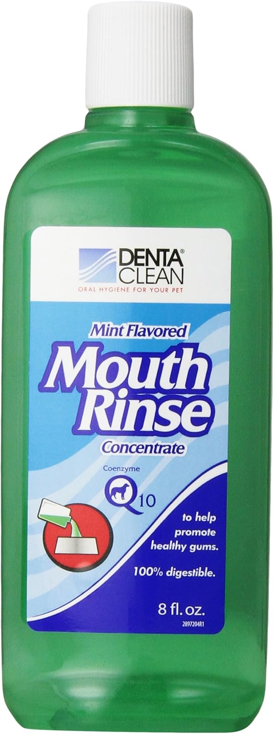 Amazon.com : Denta Clean Mint Mouth Rinse for Dogs : Pet Dental Care ...