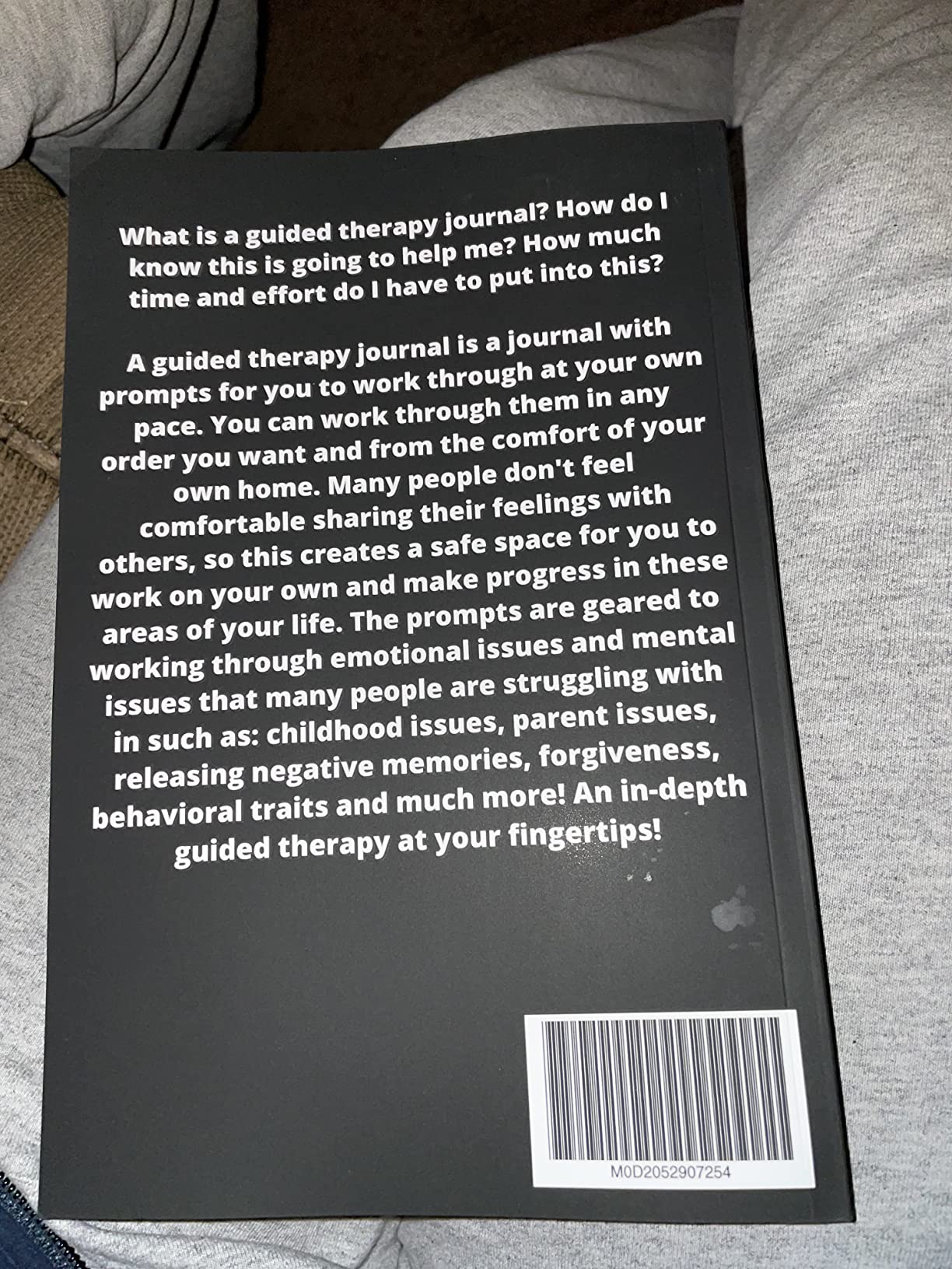 Amazon.com: The Things I Didn't Say In Therapy - Guided Therapy Journal ...