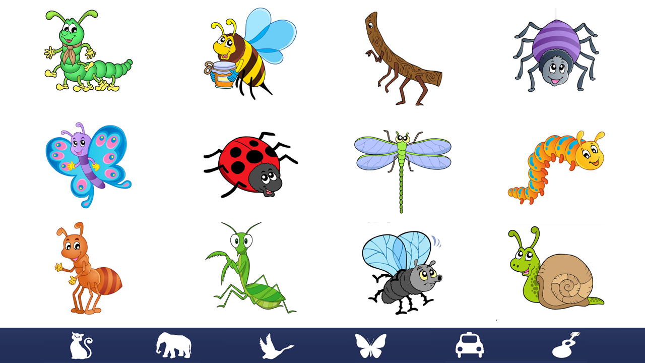 Video Touch - Bugs & Insects - App on Amazon Appstore