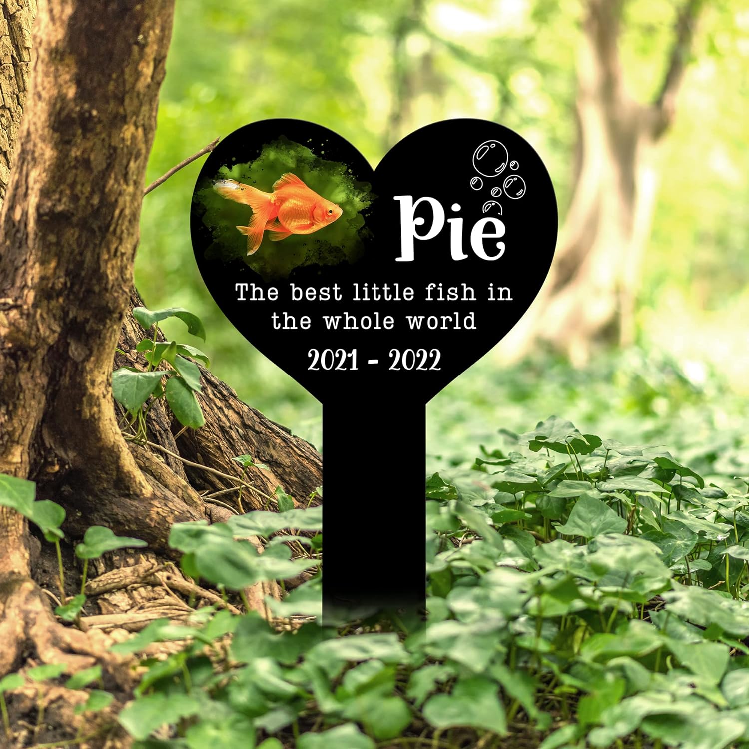 Amazon.com: Personalized Pet Fish Memorial Stake Acrylic, Betta Fish ...