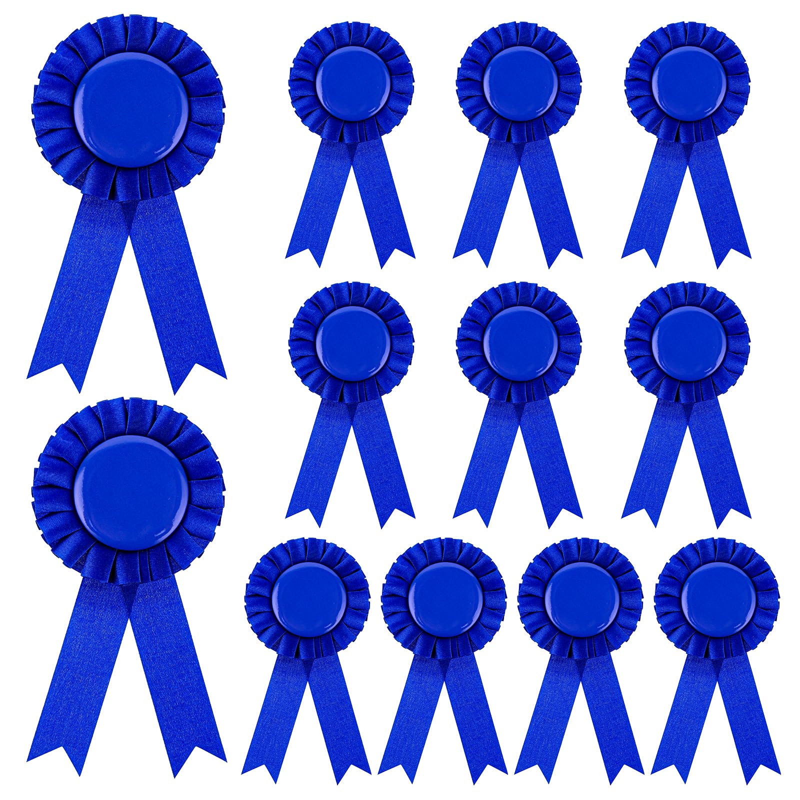 Amazon.com : Blank Award Ribbons, 12 Pieces Participation Ribbon Medal ...