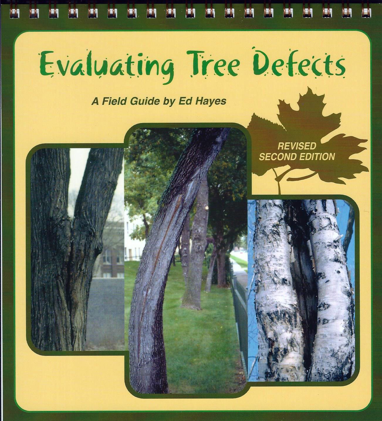 Evaluating Tree Defects: A Field Guide: Hayes, Ed: 9780971412804 ...
