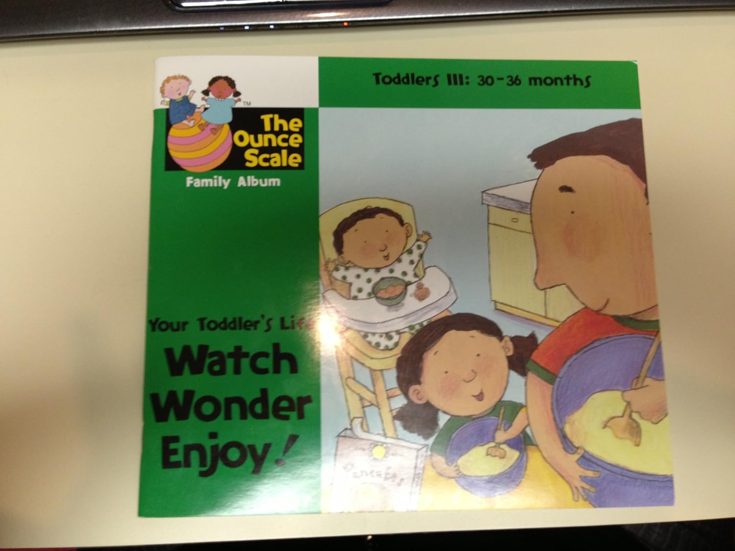 Amazon.fr - The Ounce Scale Family Album Toddlers III: 30-36 m - Livres