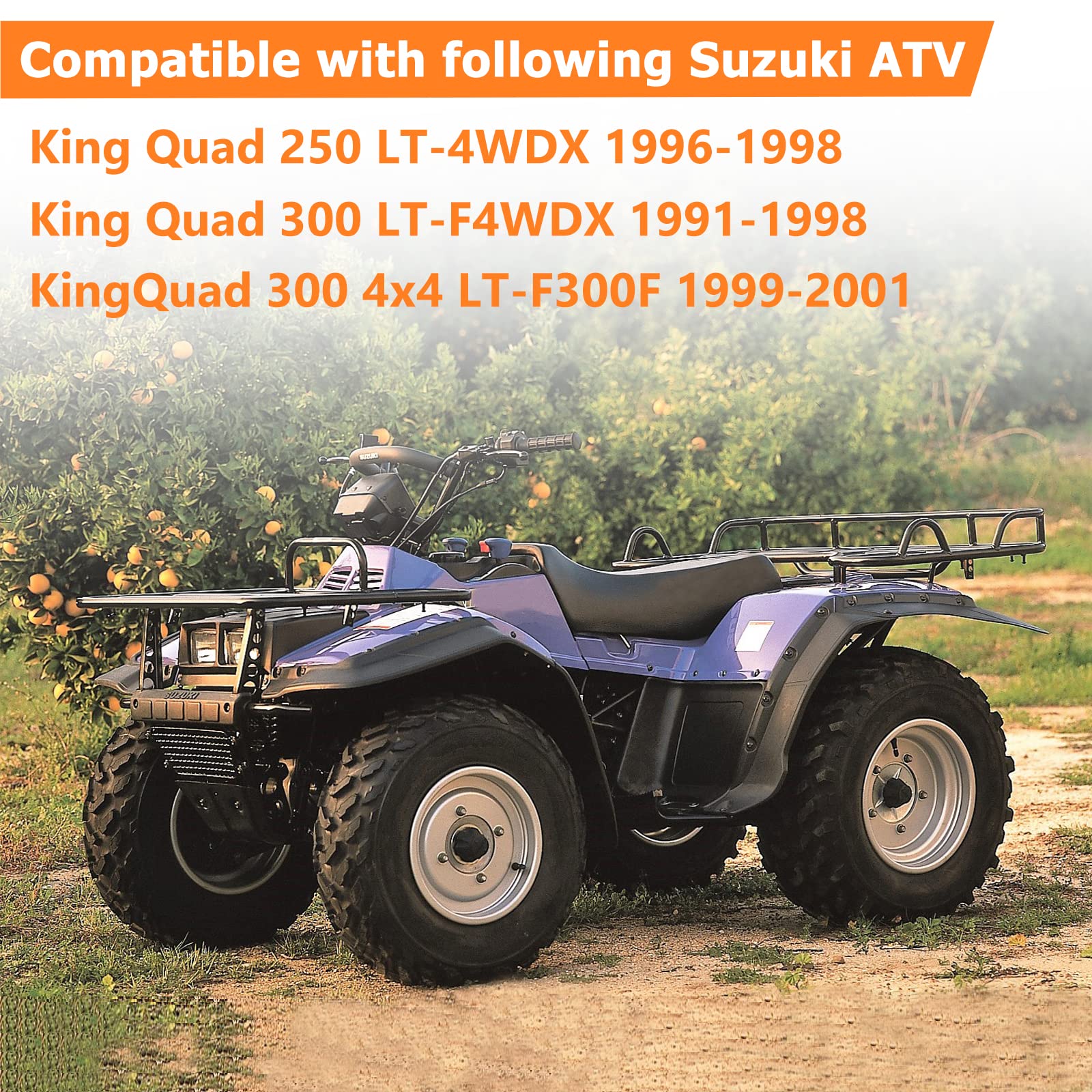 Suzuki 300 Atv