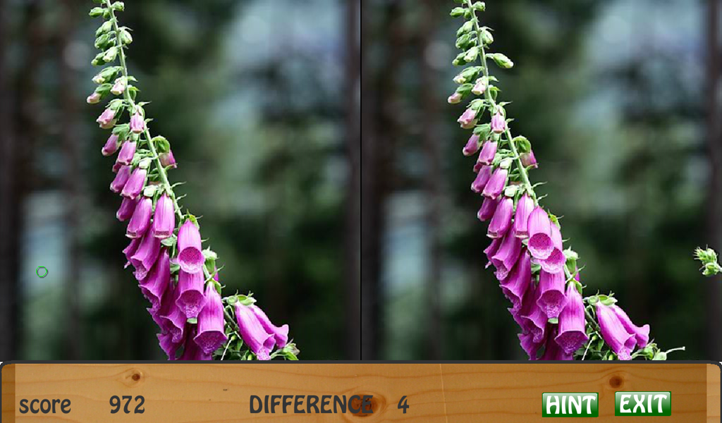 Flowers - Spot the Difference - App on Amazon Appstore