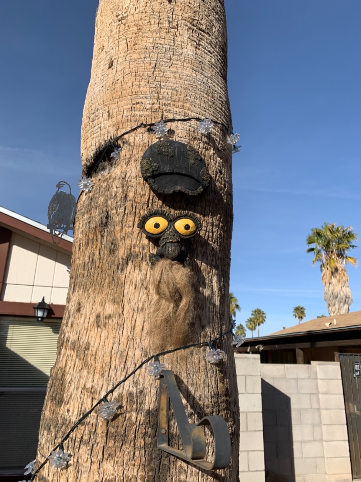 Amazon.com: Bits and Pieces - Mustache Man Tree Face Yard Art - Outdoor ...