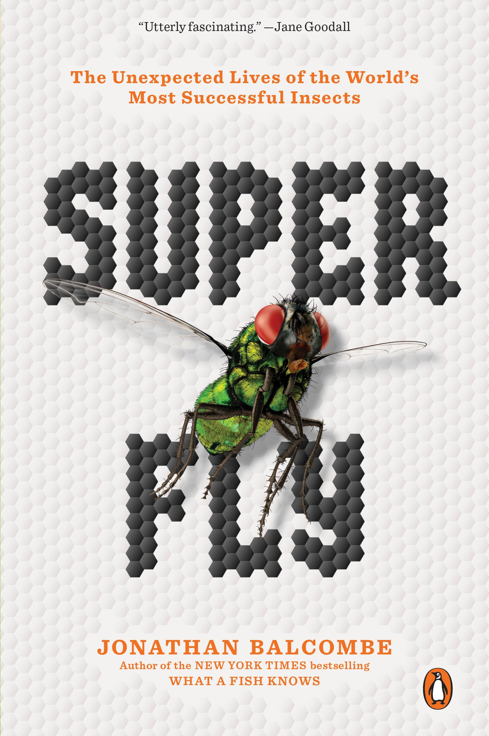 Super Fly: The Unexpected Lives of the World's Most Successful Insects ...
