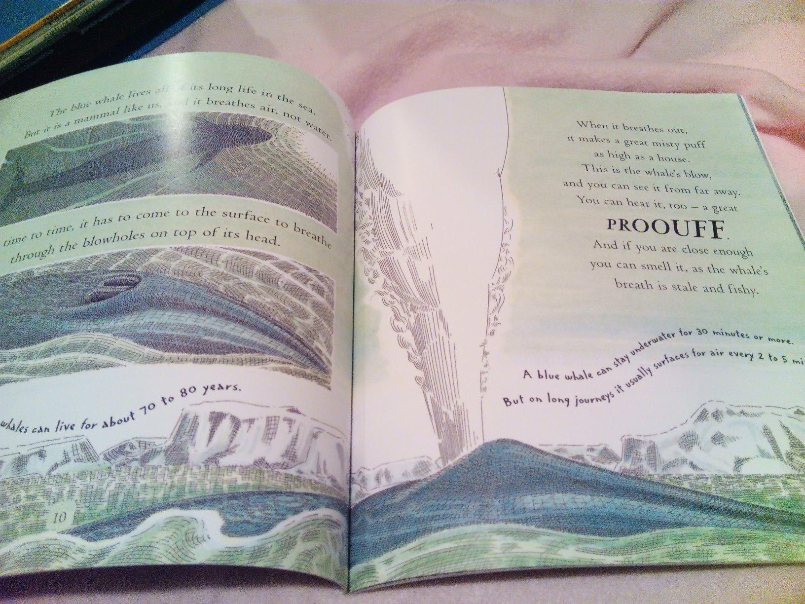 Big Blue Whale (Nature Storybooks): Amazon.co.uk: Davies, Nicola ...