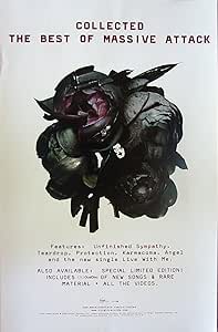 Amazon.com: Massive Attack - Collected - Poster - New - Rare - The Wild ...
