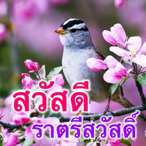 Thai Good Morning & Good Night Wishes Messages - App on Amazon Appstore