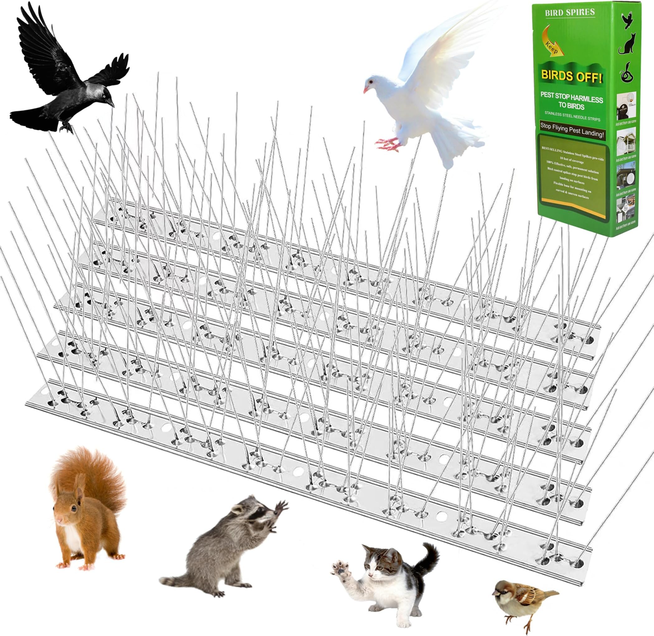 Amazon.com : AIQII 16 Feet Bird Spikes with Stainless Steel Base Bird ...