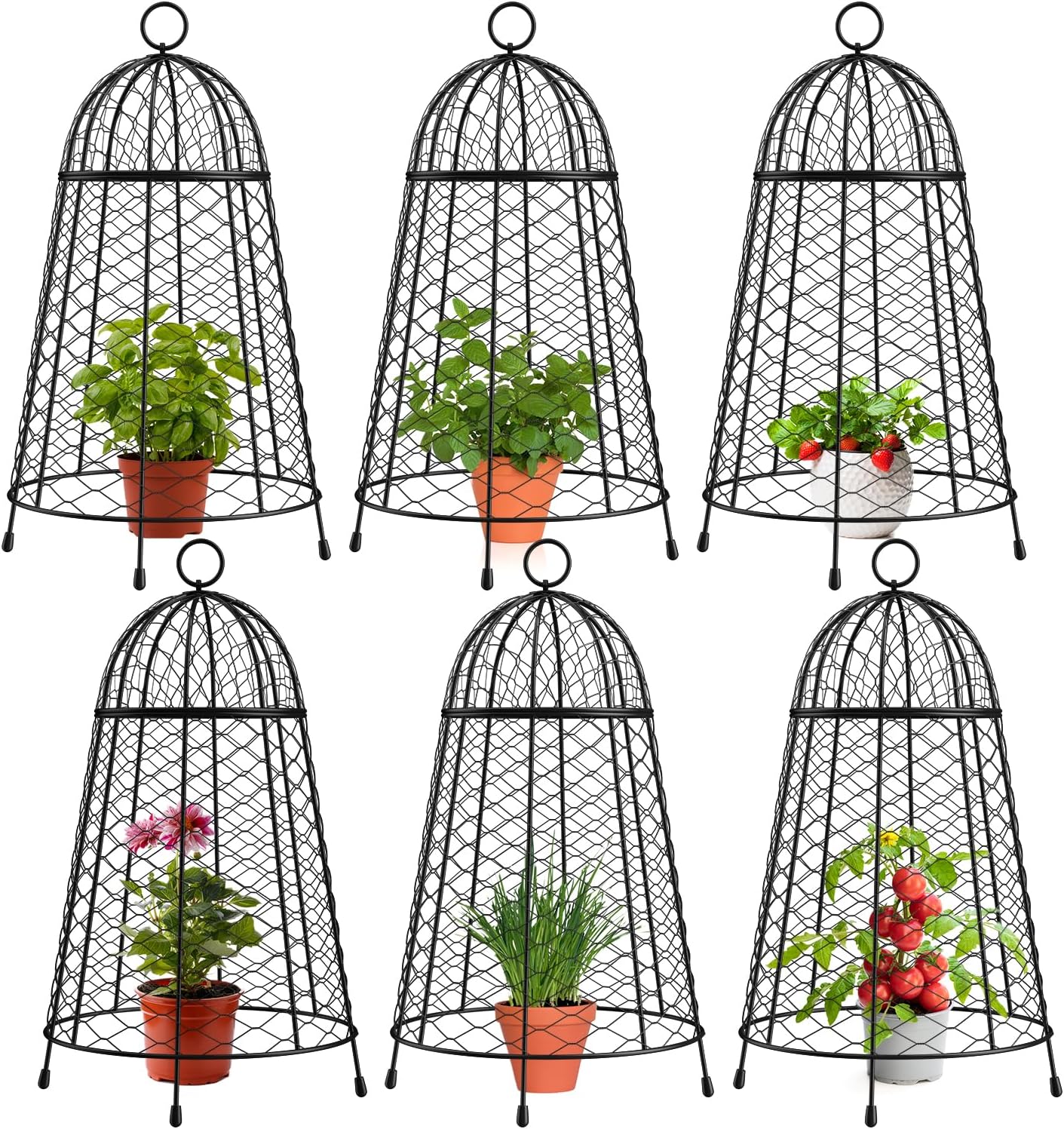Amazon.com: Chicken Wire Cloche Plant Cloche Protectors from Animals ...