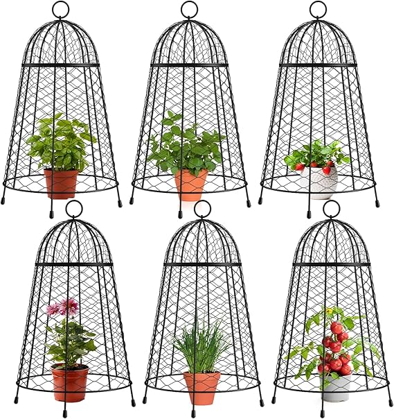 Amazon.com: Chicken Wire Cloche Plant Cloche Protectors from Animals ...