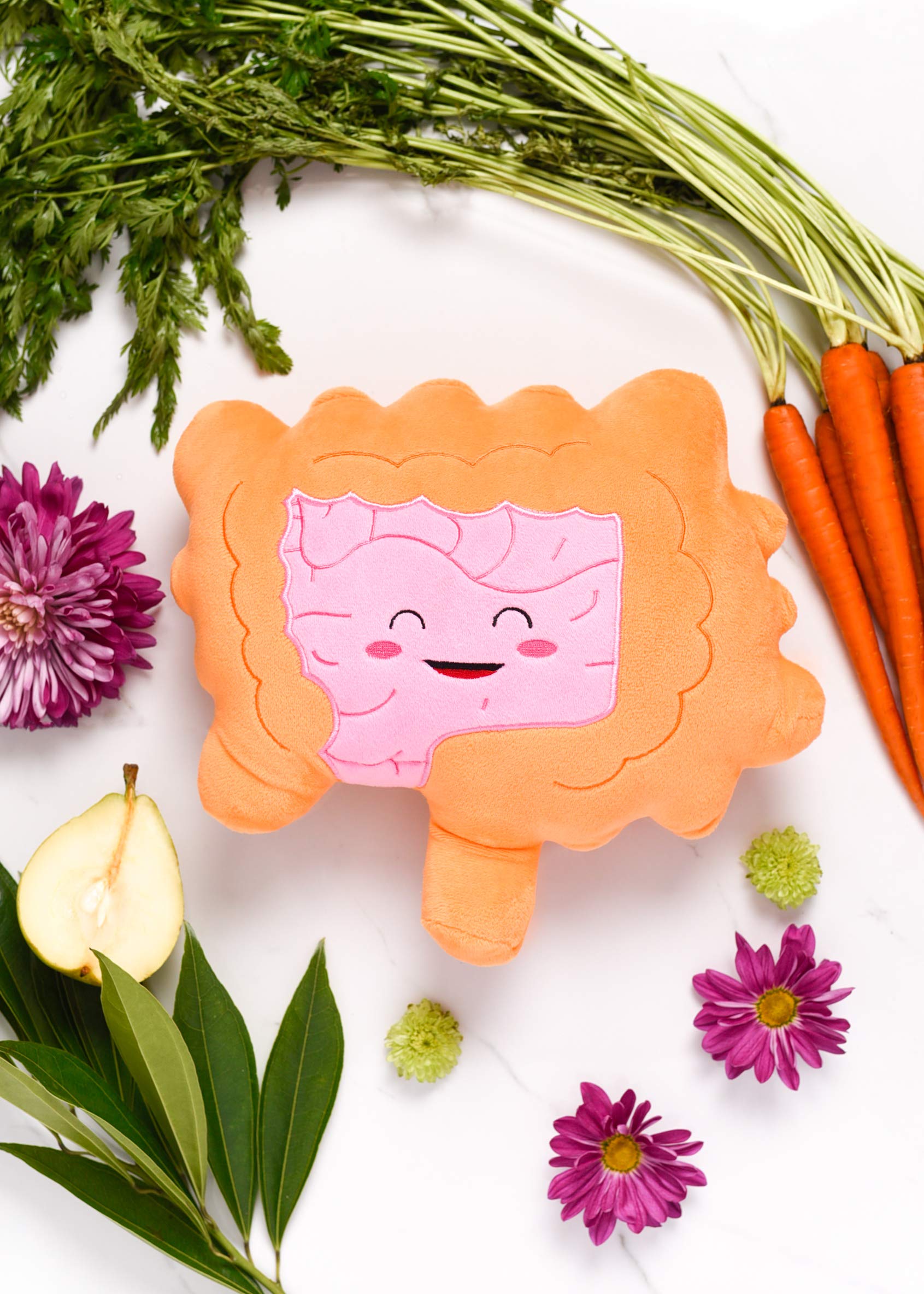 Buy nerdbugs Intestine Plush- Intestined for Greatness-Colon/Intestine ...