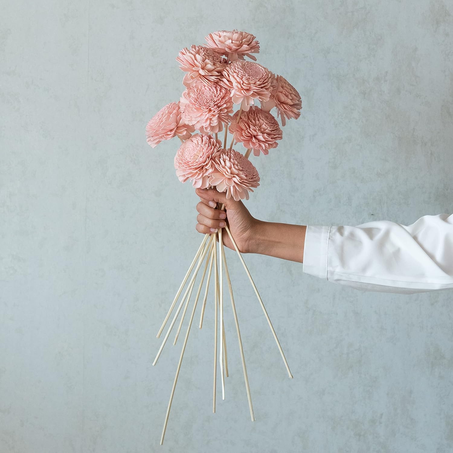 Flowers and Fillers | Pink Sola Belly Flowers On Stem | Natural Dried ...