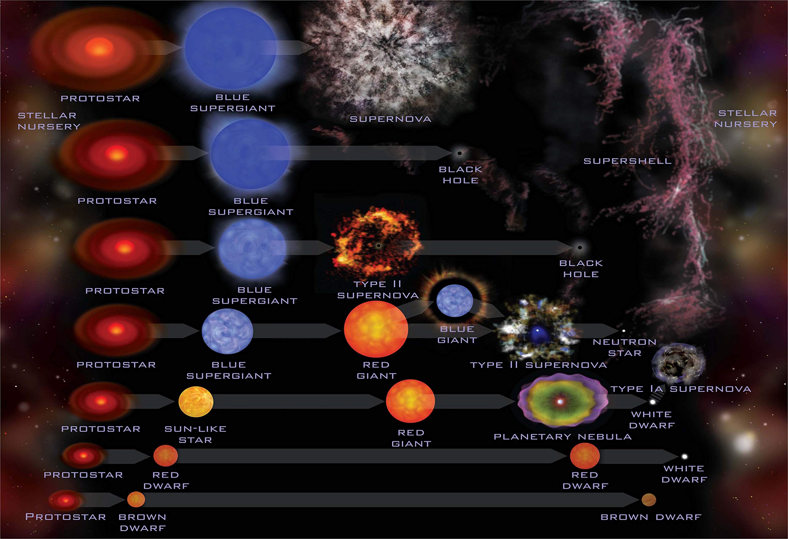 Life Cycle Of A Giant Star How A Supernova Works ESO Supernova