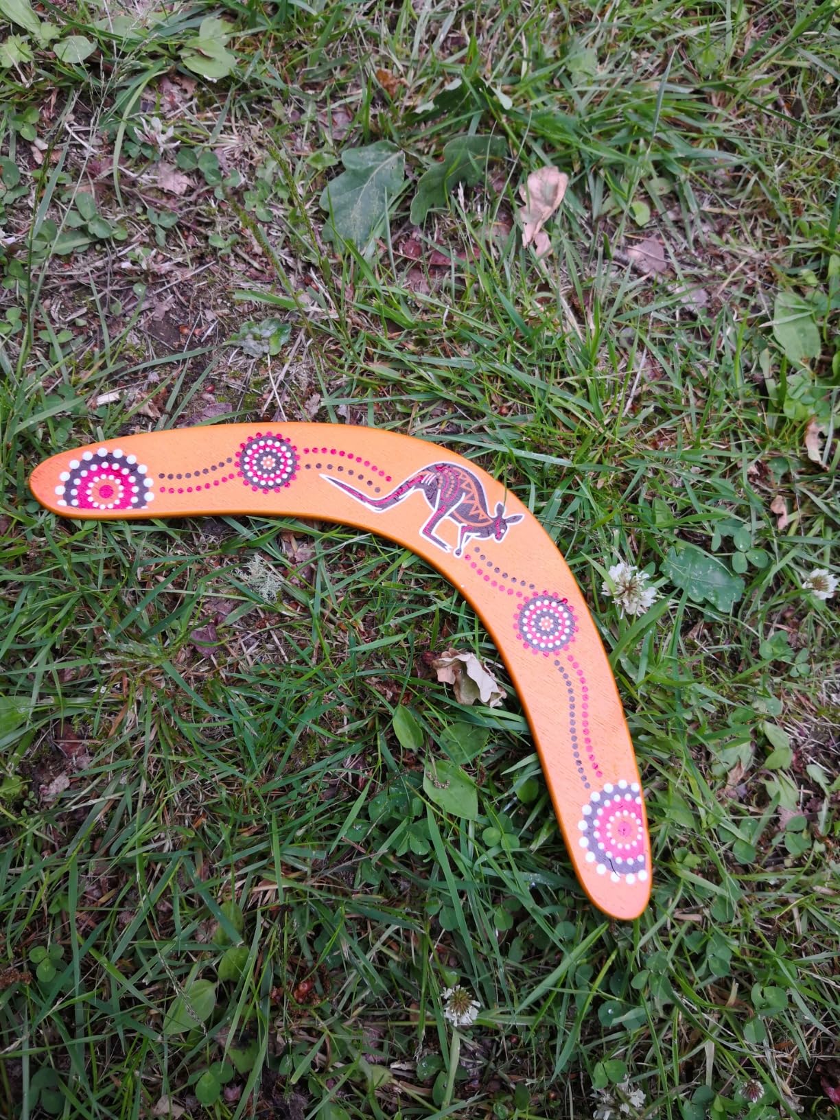 SHIQIZHIJIA Wooden Boomerang Easy to Throw Flying Boomerang V Shaped ...
