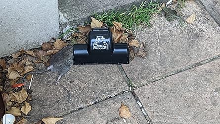 Rat Reaper - Humane Rat Traps That Kill Instantly | Rat Traps For ...