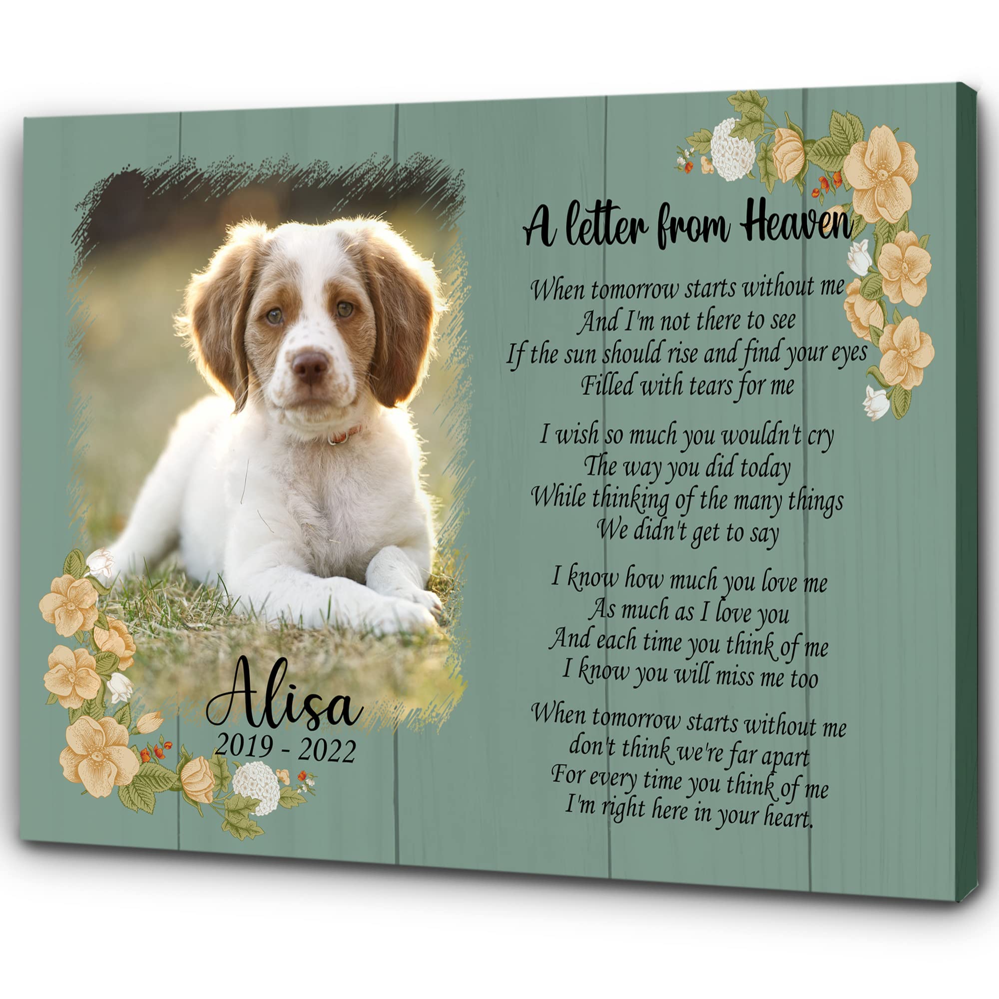 Will My Dog Be With Me In Heaven