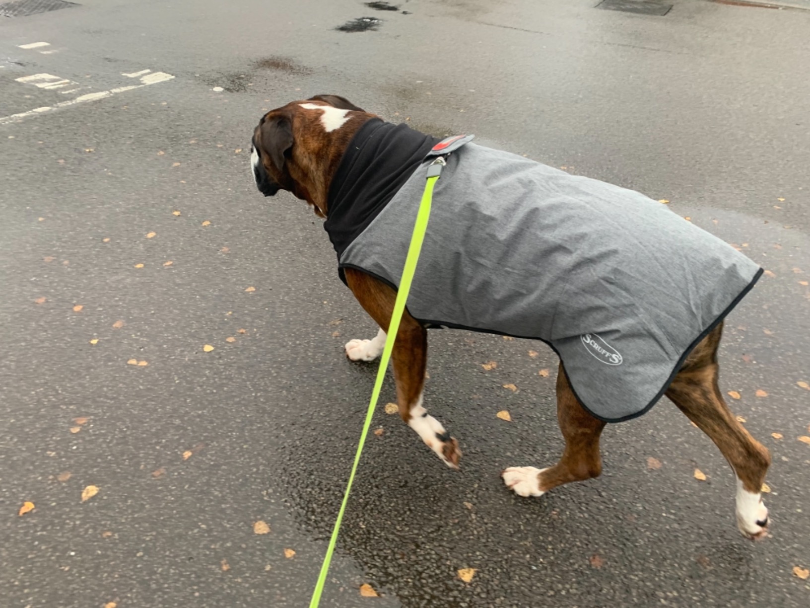 Scruffs Quilted Thermal Dog Coat, 70cm, XXXL, Navy Blue, 400 g : Amazon ...