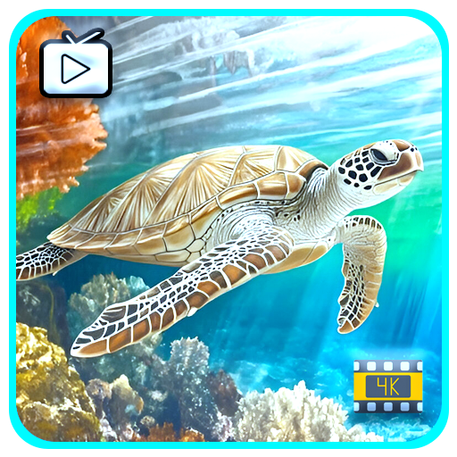 Sea Turtle Reef Journey – Graceful Turtle Swimming Through Vibrant Coral Reefs in Crystal Clear ...