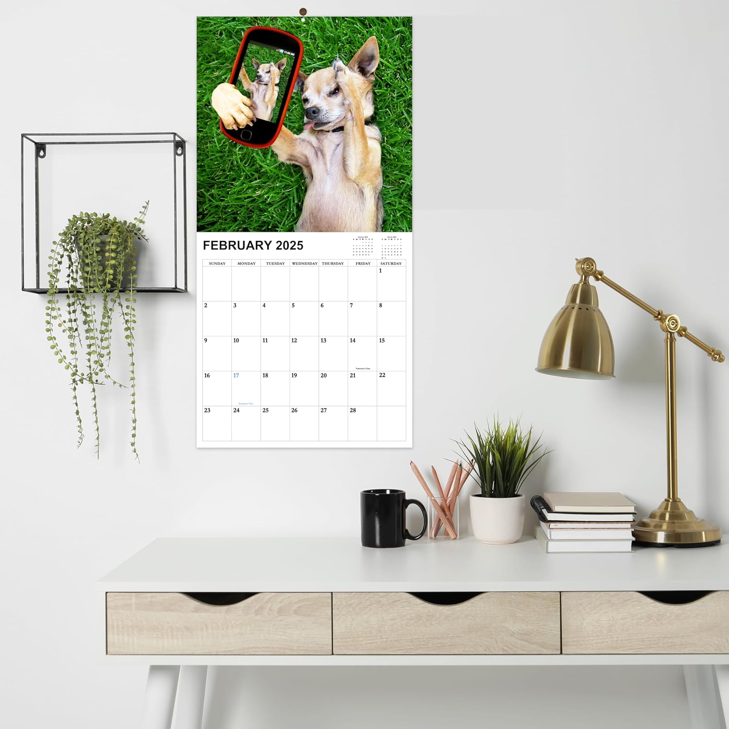 2025 Wall Calendar - 18-Month Funny Dog Calendar Australia | Ubuy