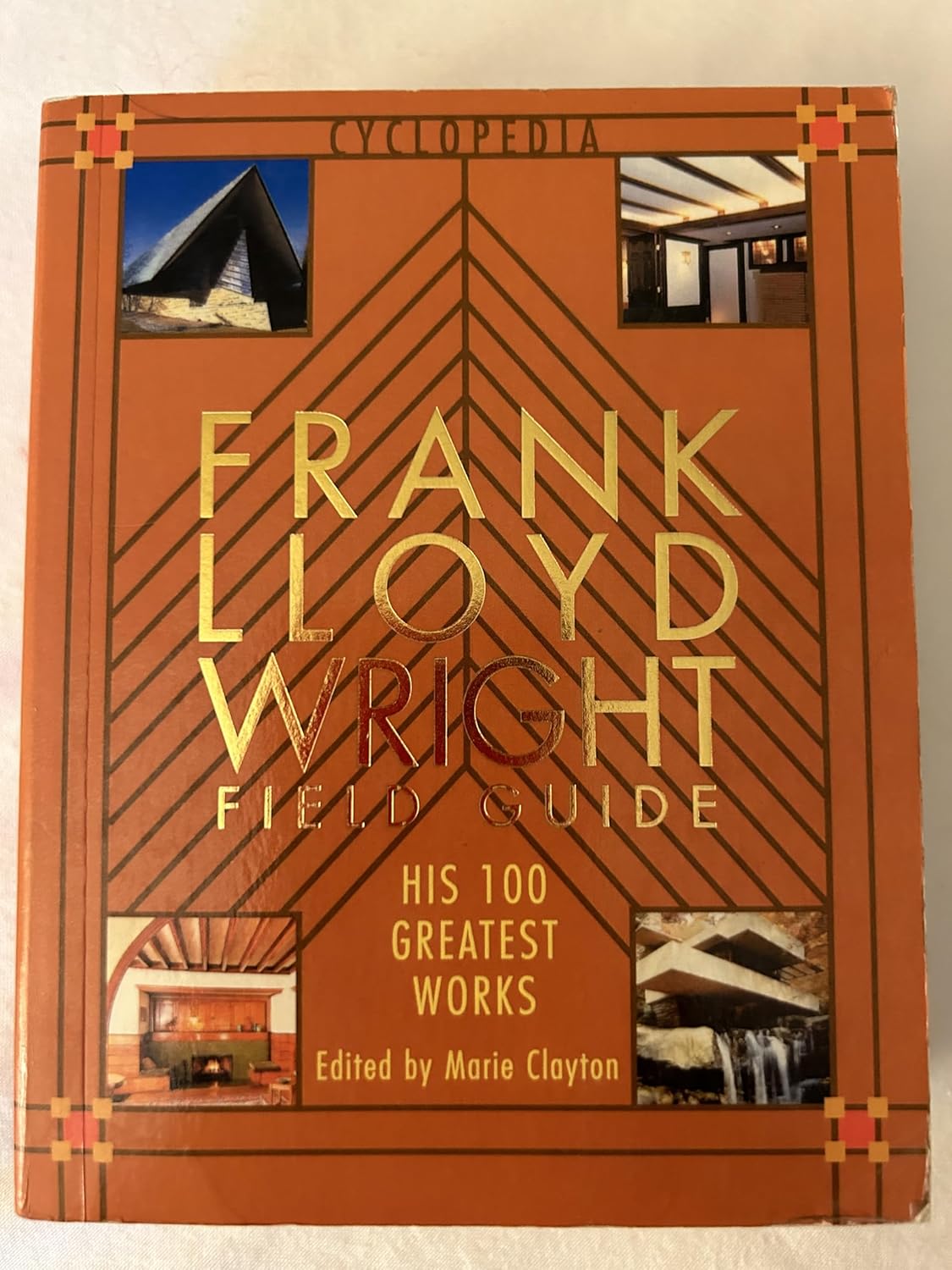 Frank Lloyd Wright Field Guid: His 100 Greatest Works (Cyclopedia ...