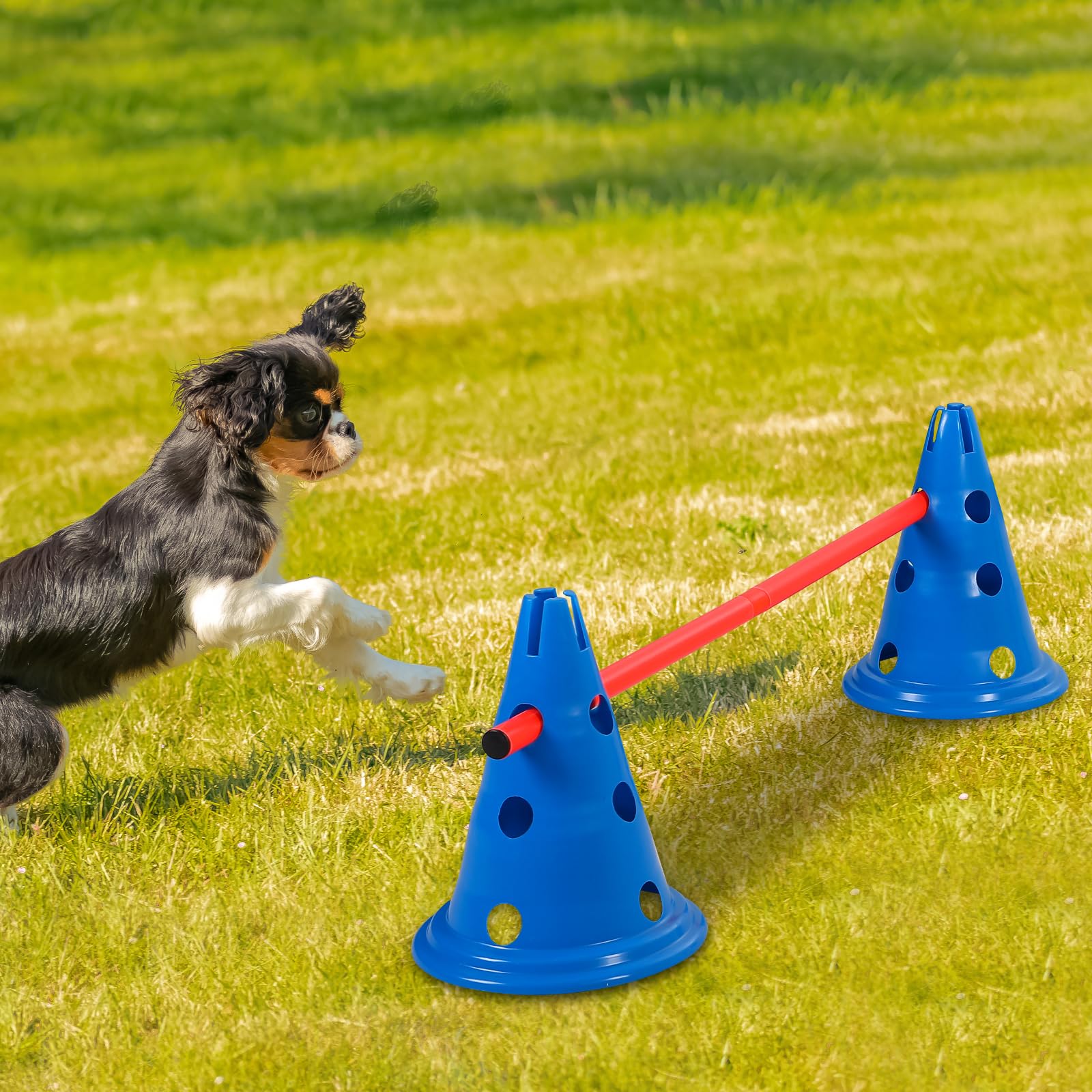 Snapklik.com : Glimin Dog Agility Hurdle Cone Set Dog Agility Course ...
