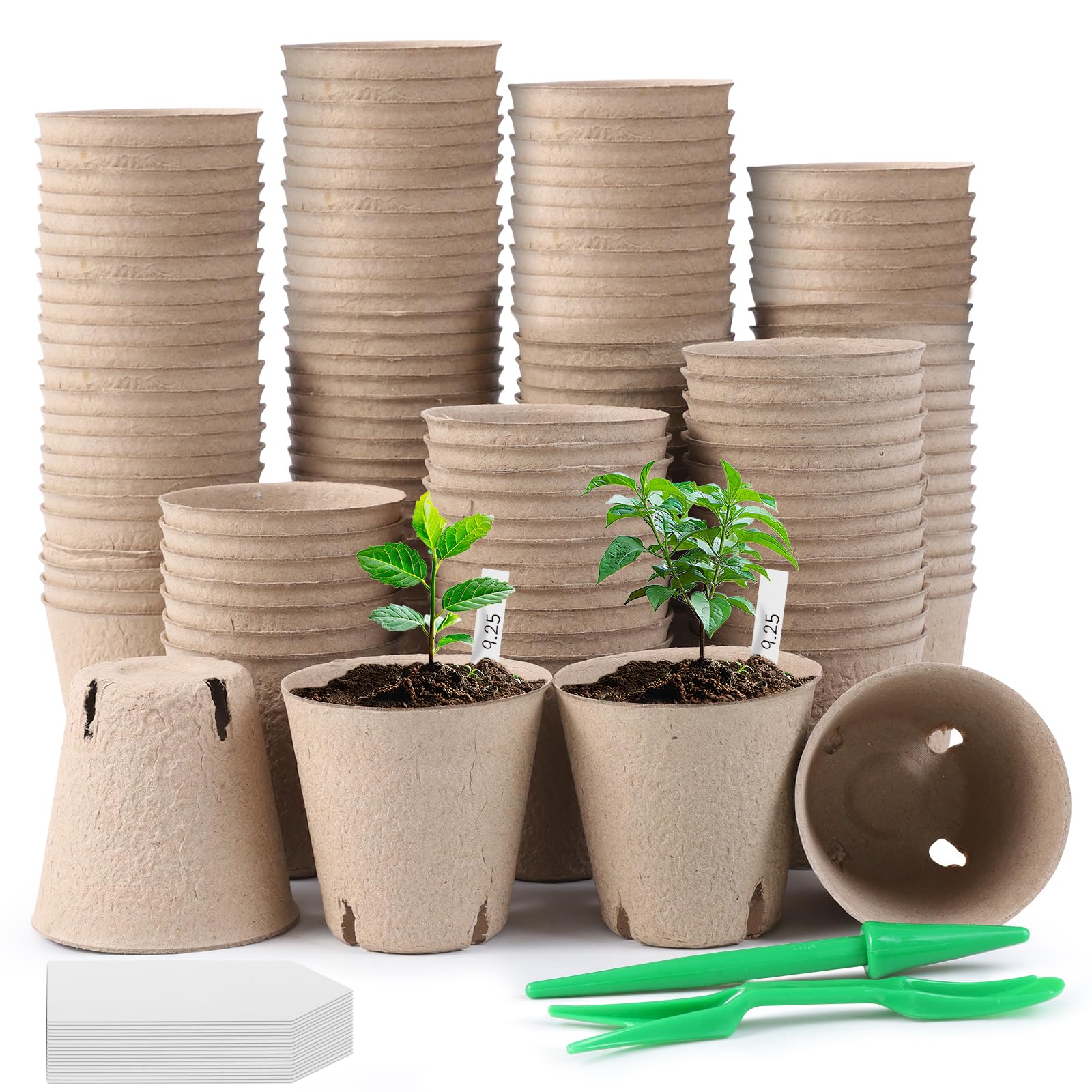 Amazon.com: BEWBBAT 100 Pack Peat Pots for Seedlings, 3.15 Inch Plant ...