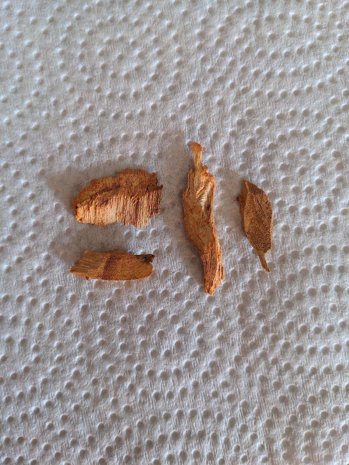 Amazon.com : Sassafras Root Bark | Natural Root Beer | Organic Wild ...