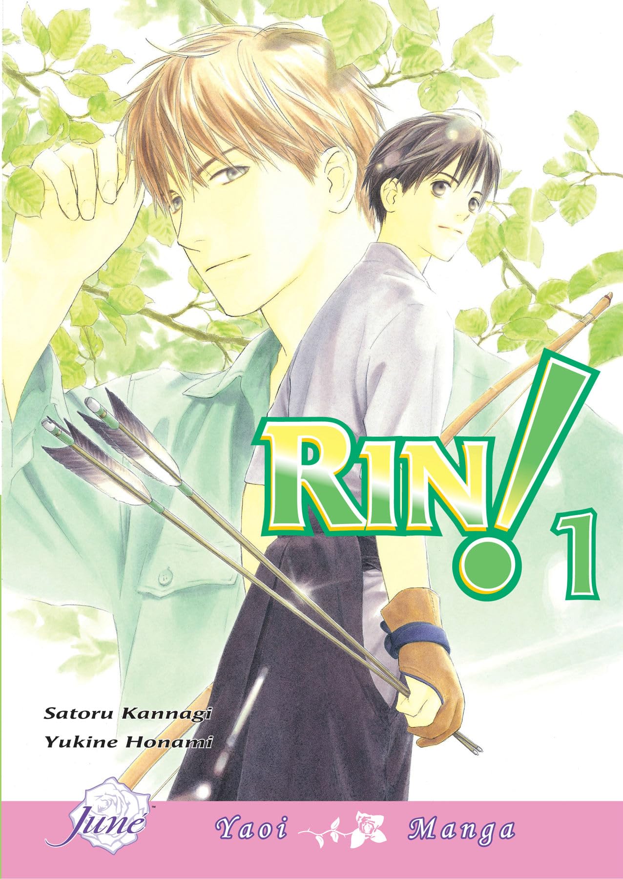 Amazon.com: Rin! Volume 1 (Yaoi) (RIN GN): 9781569709207: Turner, Gary ...