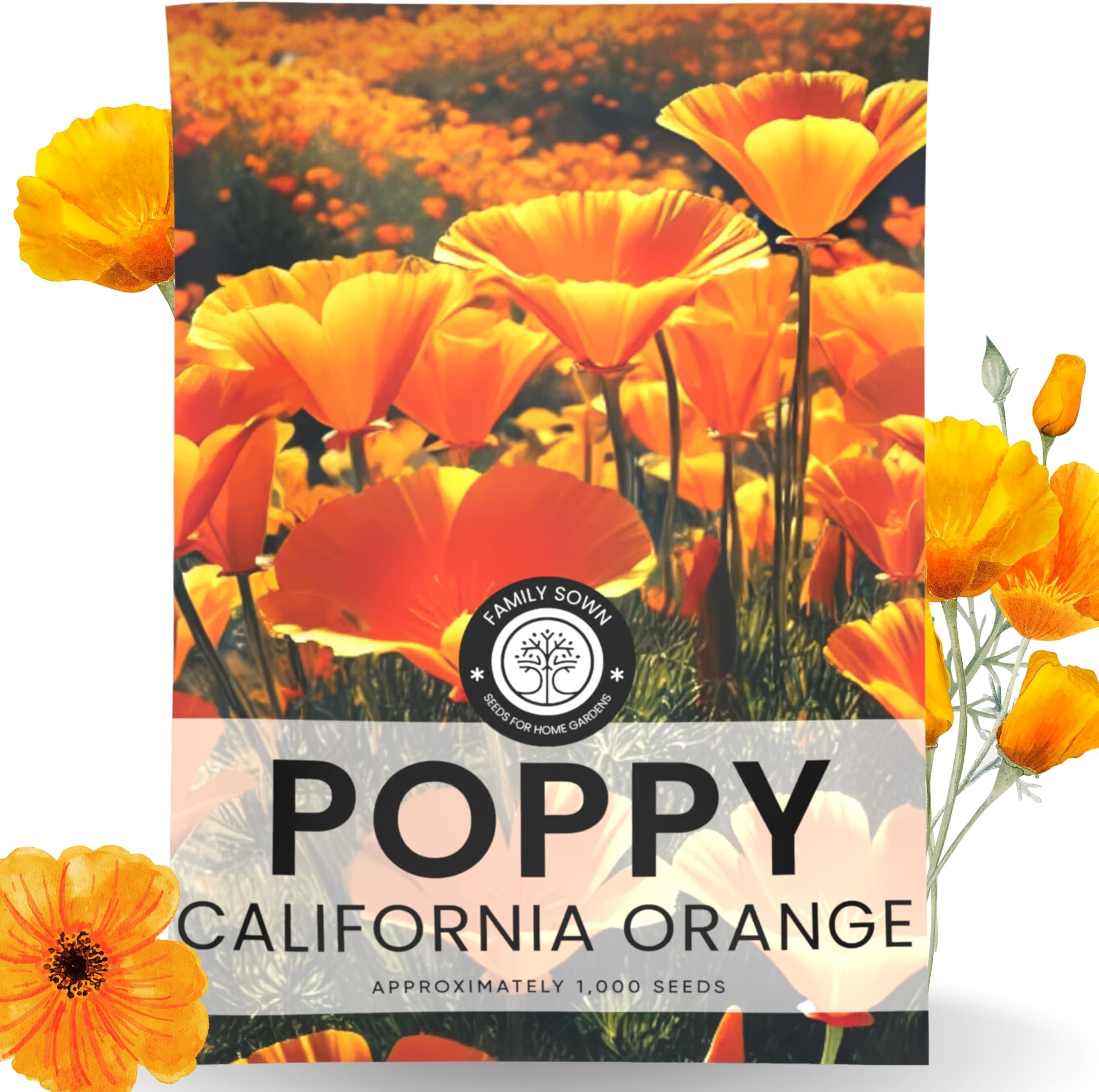 Amazon.com : California Poppy, 100+ Seeds, Beautiful Bright Orange ...