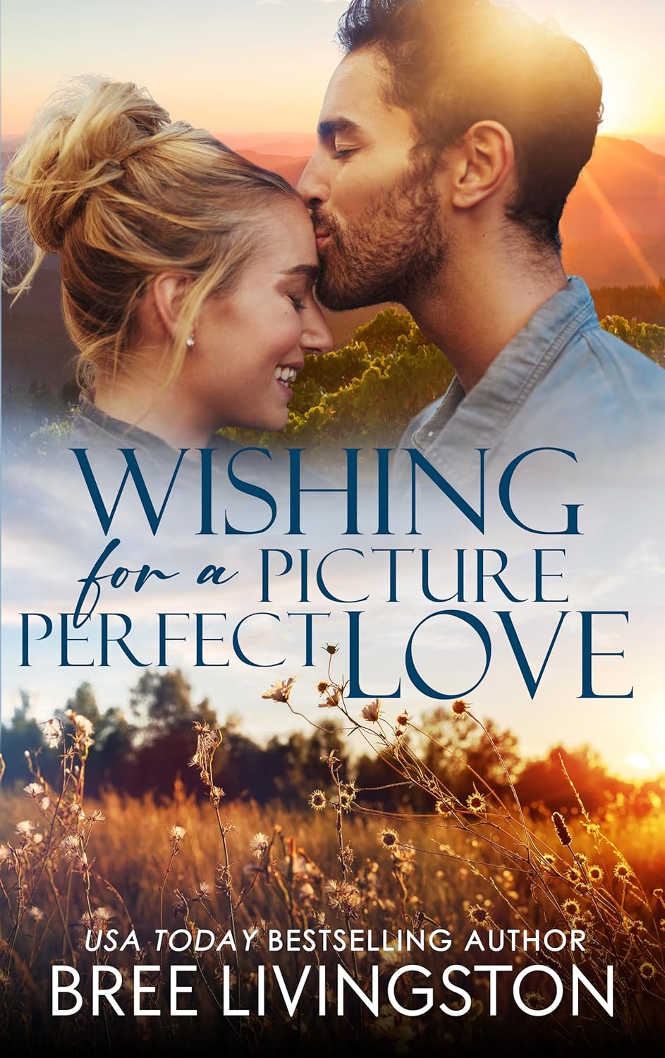 Amazon.com: Wishing for a Picture Perfect Love: A Small Town Romance eBook : Livingston, Bree ...
