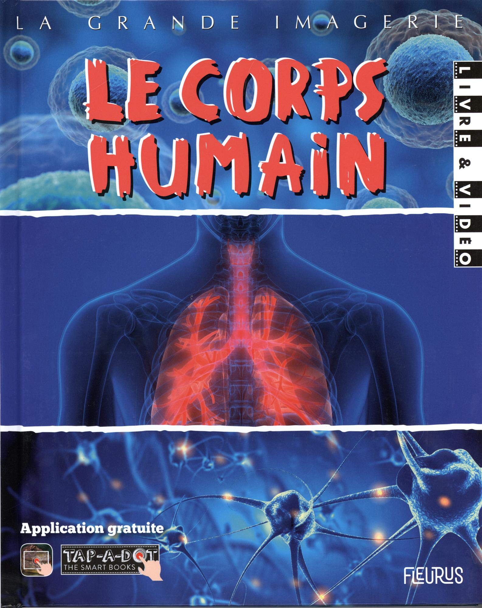 Amazon.fr - Le corps humain - Collectif - Livres