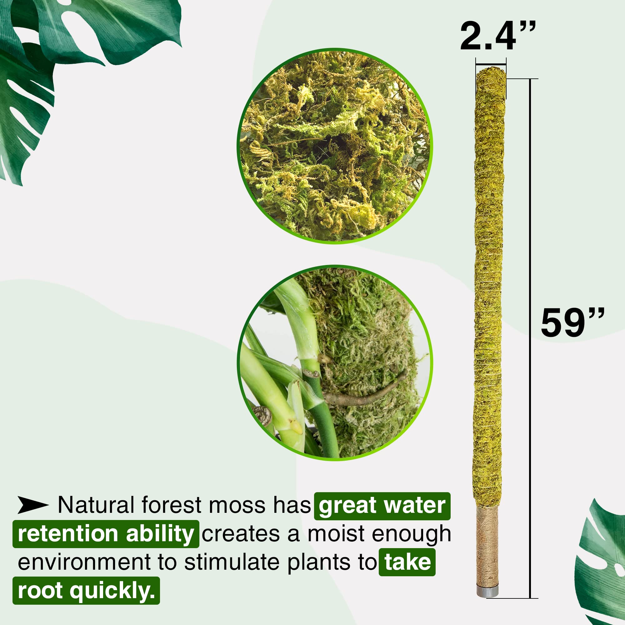 Snapklik.com : DUSPRO 59 Inches Large Moss Pole For Plants Monstera ...