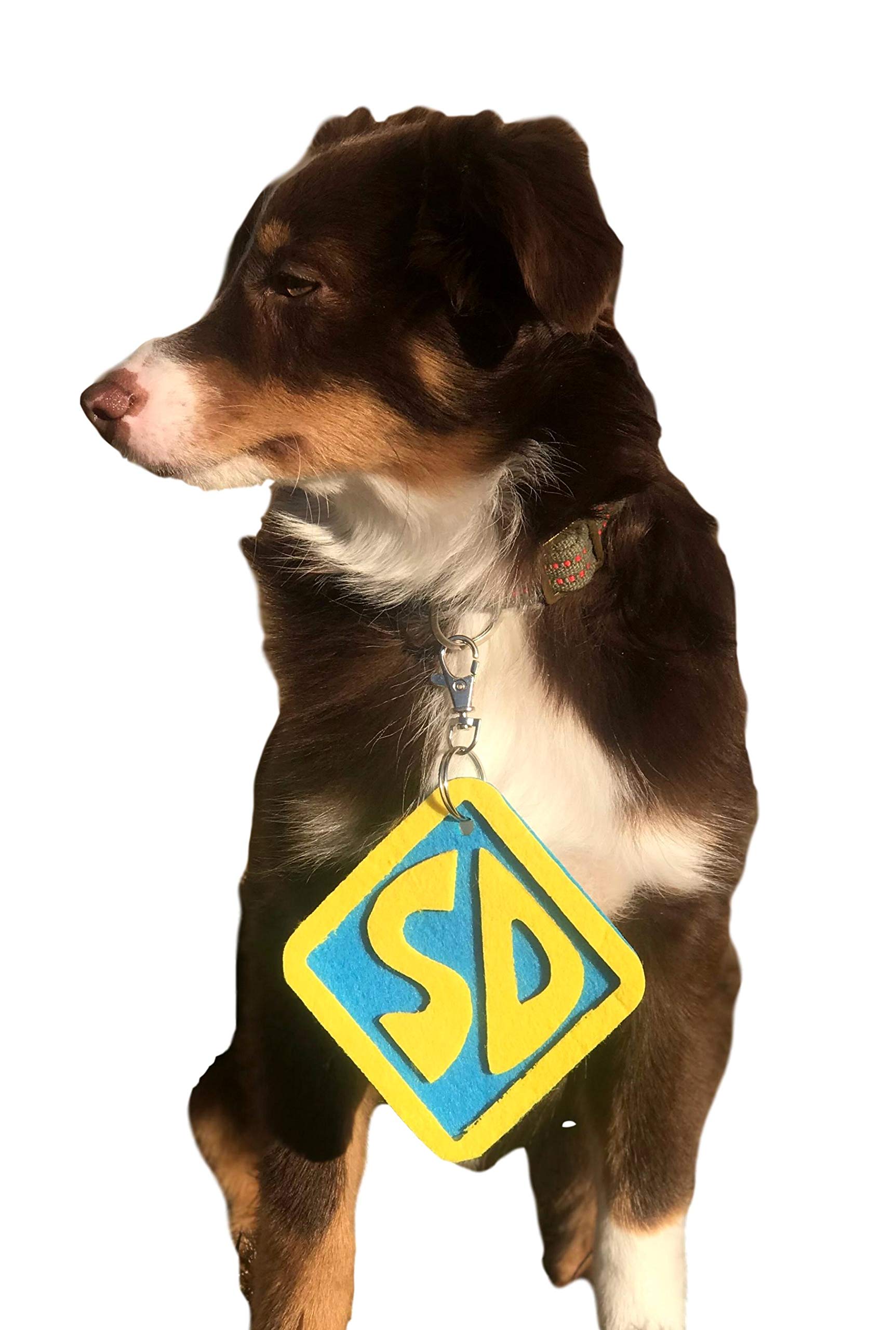 Snapklik.com : ComfyCamper SD Dog Halloween Costume Collar Tag For ...