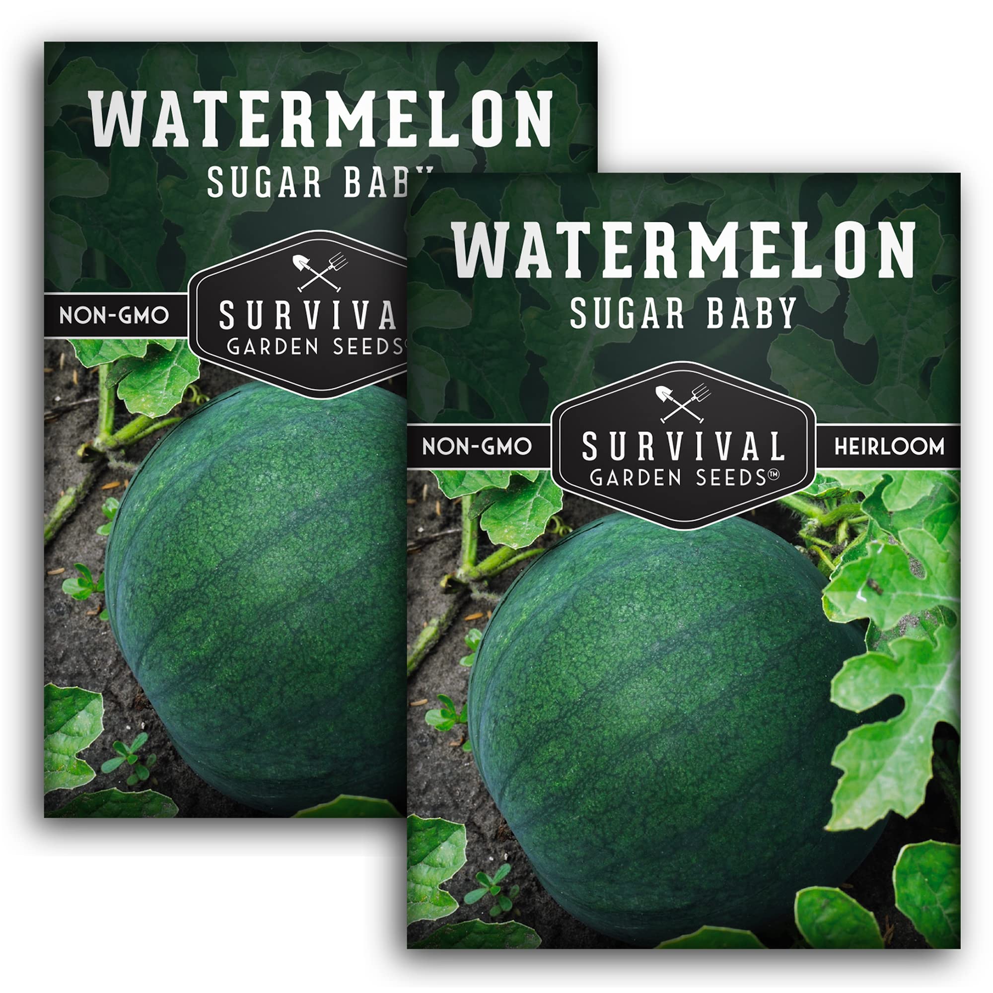Amazon.com : Survival Garden Seeds - Sugar Baby Watermelon Seed for ...