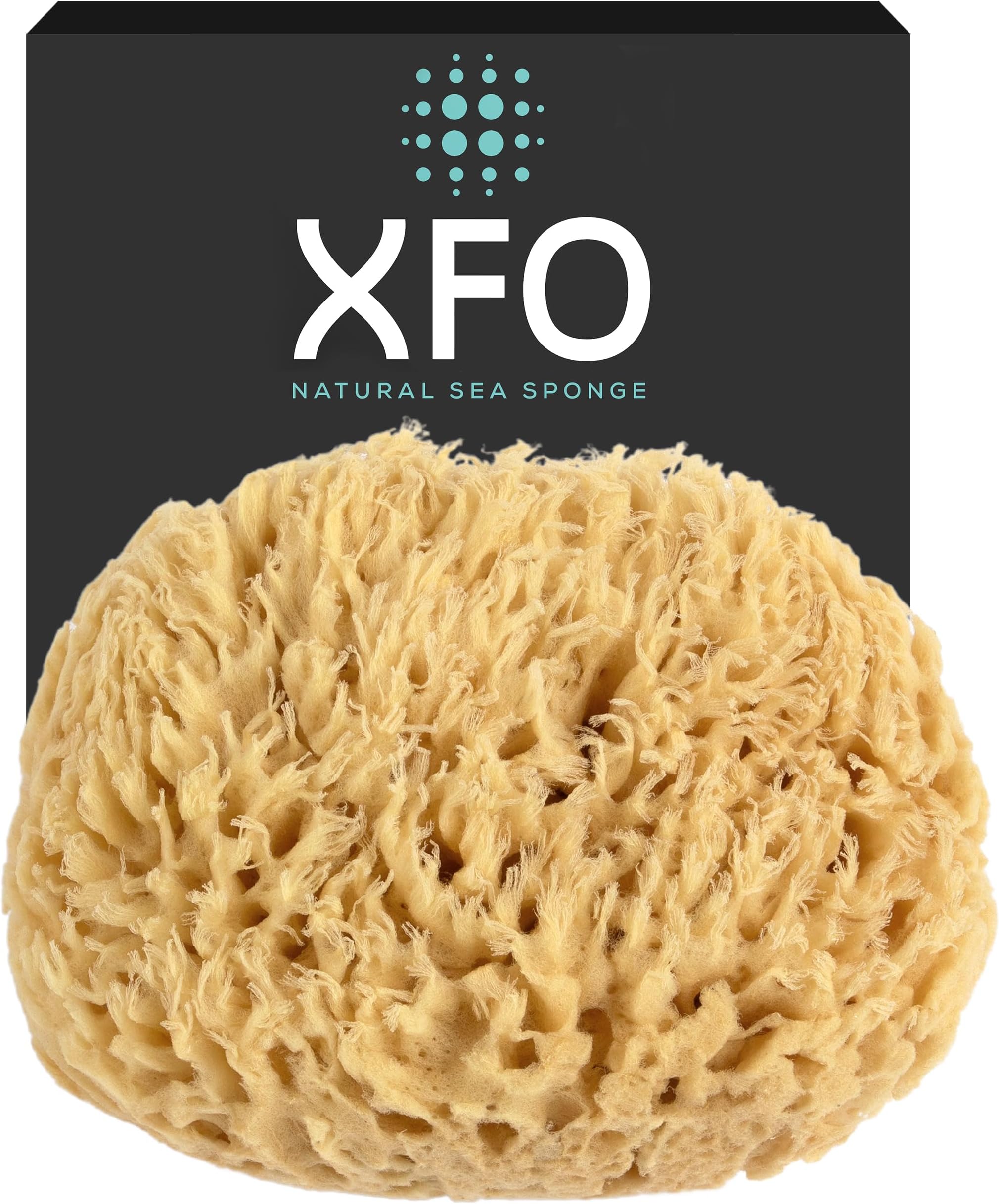 Amazon.com: XFO Sea Sponge, Natural Sea Wool Sponge (Large 6in) All ...