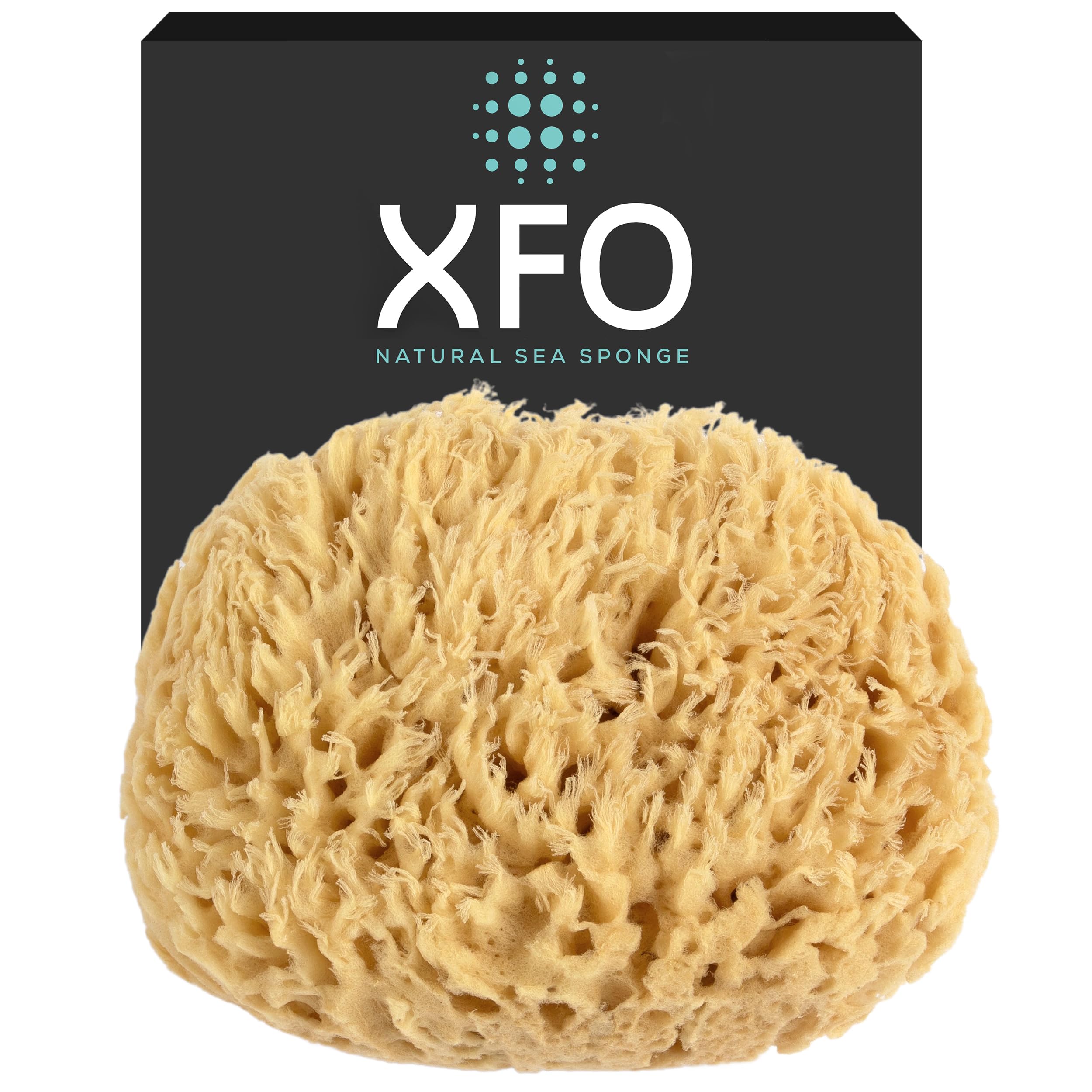 Amazon.com: XFO Sea Sponge, Natural Sea Wool Sponge (Medium 5in) All ...