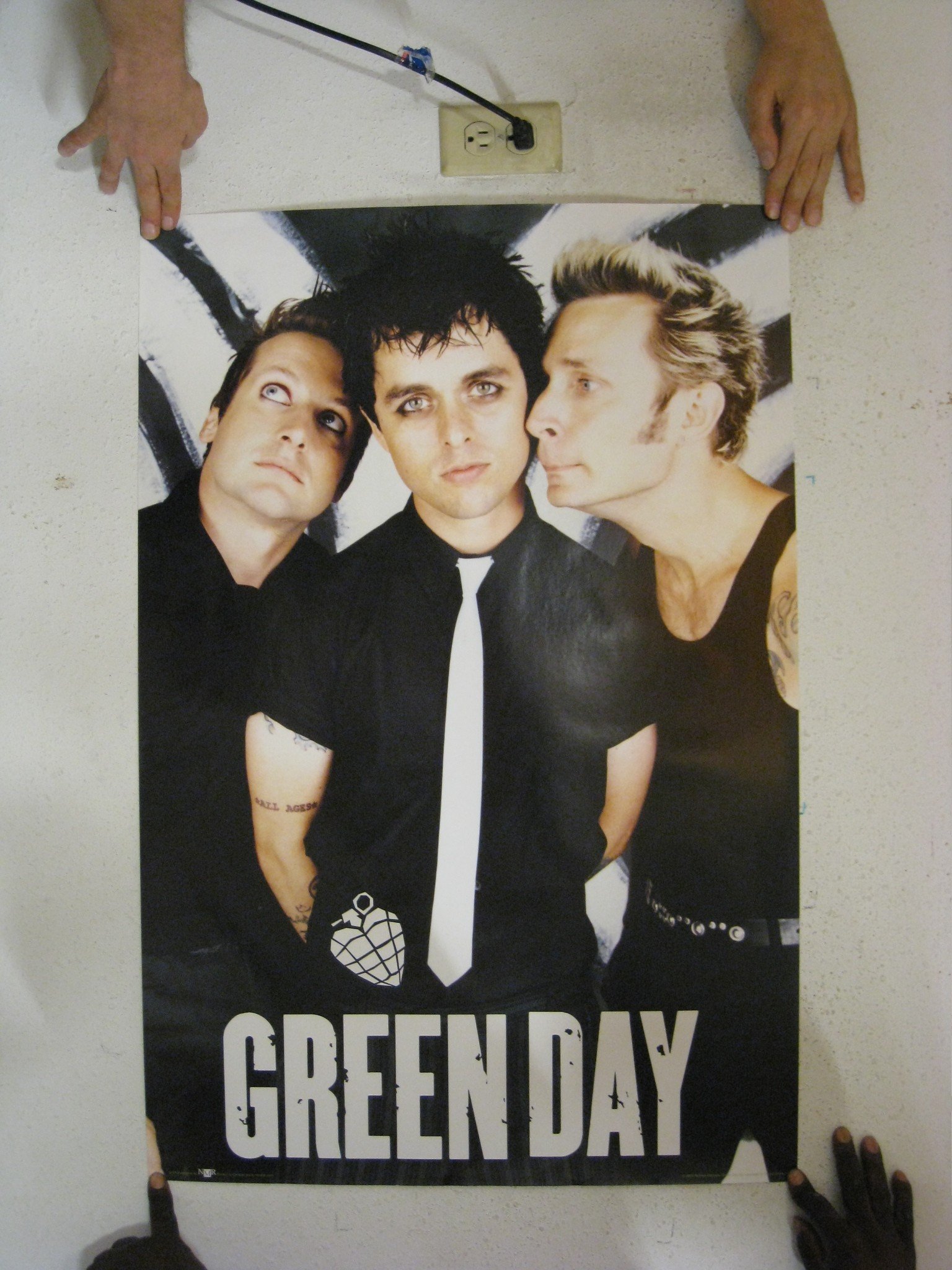 Amazon.com: (24x36) Vintage Green Day Dookie Poster Group American ...