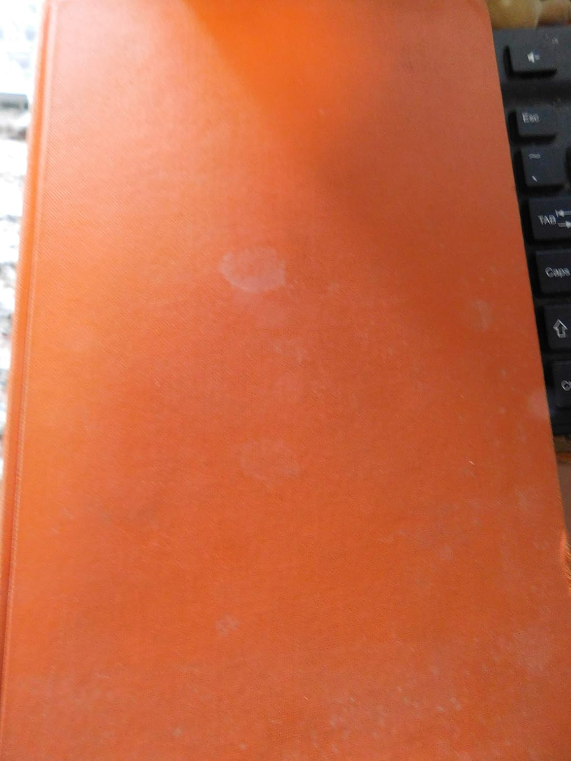 A Manual of Correctional Standards: American Correctional Association ...